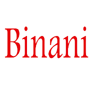 Binani Industries Share Price Today - Binani Industries Ltd Stock Price ...
