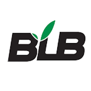 BLB Share Price Today - BLB Limited Ltd Stock Price Live NSE/BSE