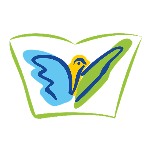 Top Gainers F&O - Stock Options & Futures and Index Options & Futures