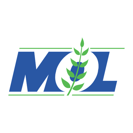 Meghmani Share Price Today - Meghmani Organics Limited. Stock Price ...