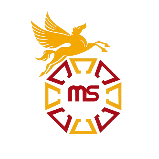 MTF Stocks List - Stocks Available for Margin Trading Facility