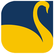 New Swan Multitech Share Price Today - New Swan Multitech Stock Price ...